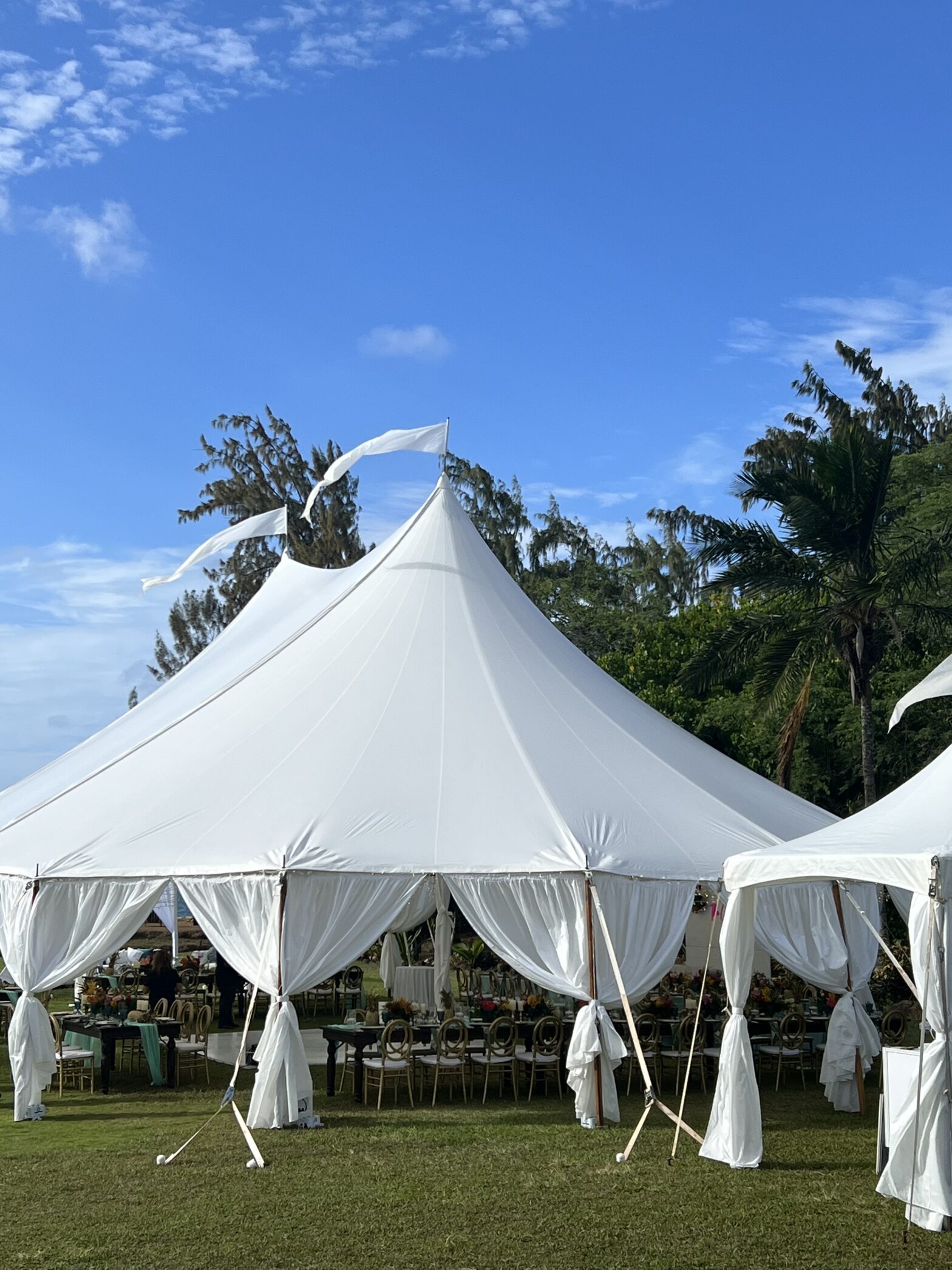 Tidewater Exterior Leg Drape - Loulu Palm Event Equipment Rental