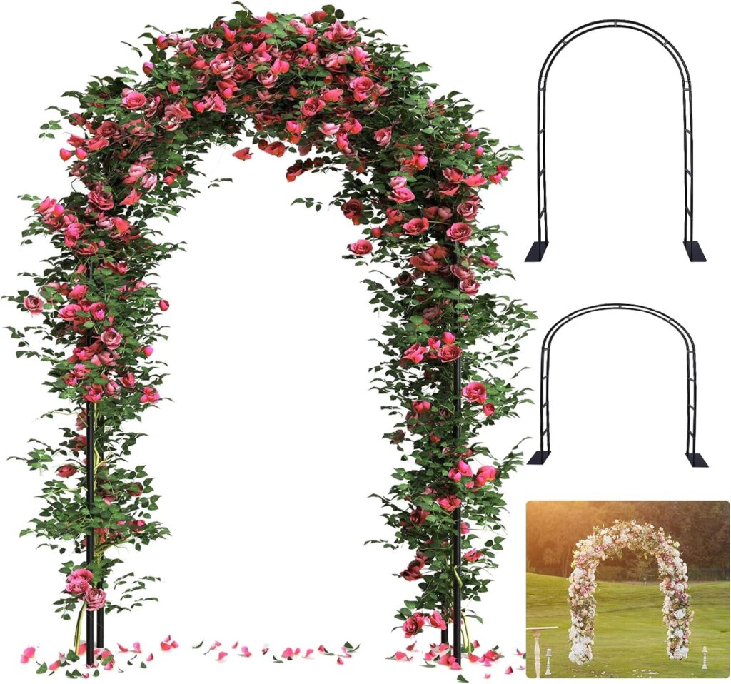 Oval Top Arch Frame - Loulu Palm Event Equipment Rental
